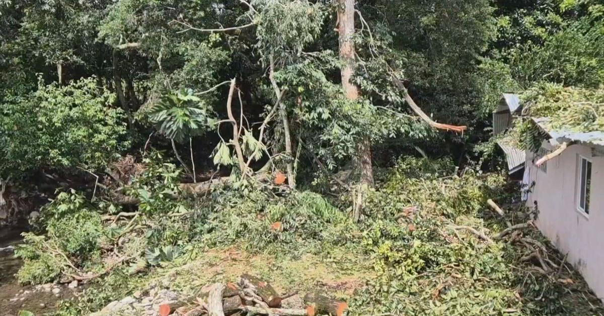 Sinaproc realizará un simulacro nacional de prevención de desastres en ...