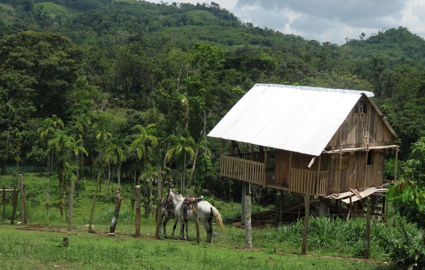 CSS lanza ‘Mi retiro voluntario’: ¿Cómo usar la nueva plataforma para ...