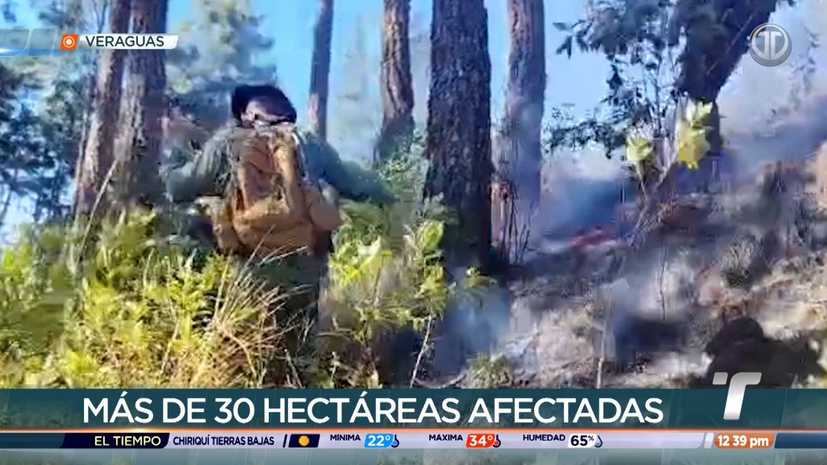 Incendio de masa vegetal en La Yeguada afectó más de 20 hectáreas ...